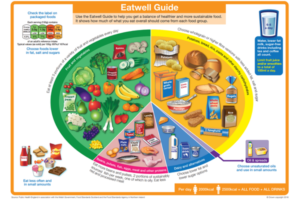 NHS Eatwell Guide - Sunderland Health & Wellness Hub
